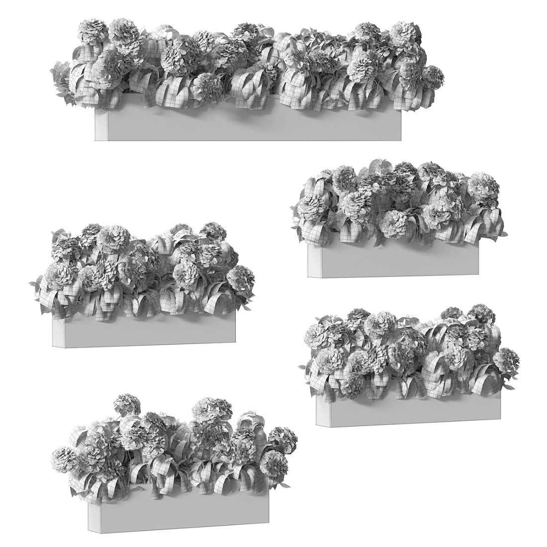 Hydrangea Plant In A Flowerpot For The Facade 3dsmoon
